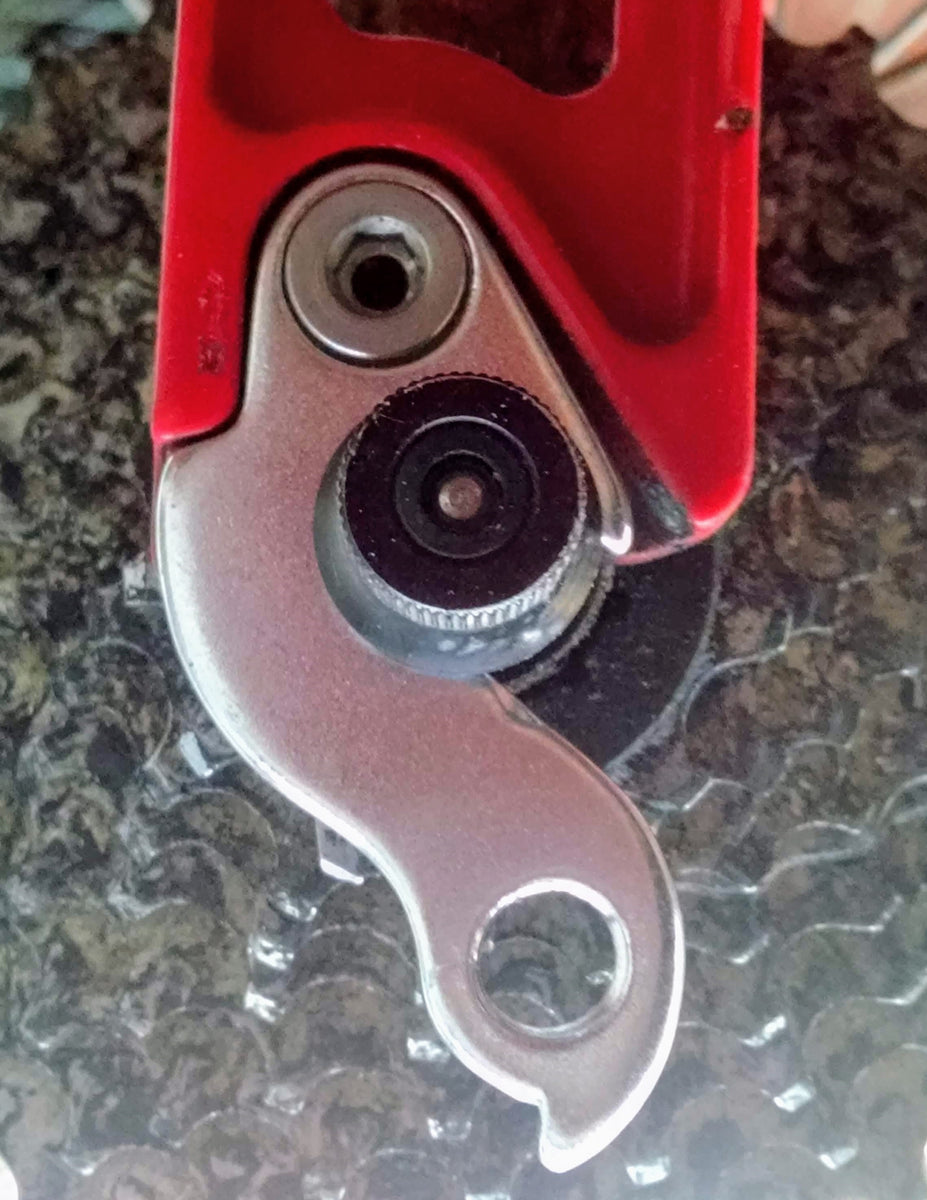 Trek R-200 Derailleur Hanger – Bicycle Man LLC